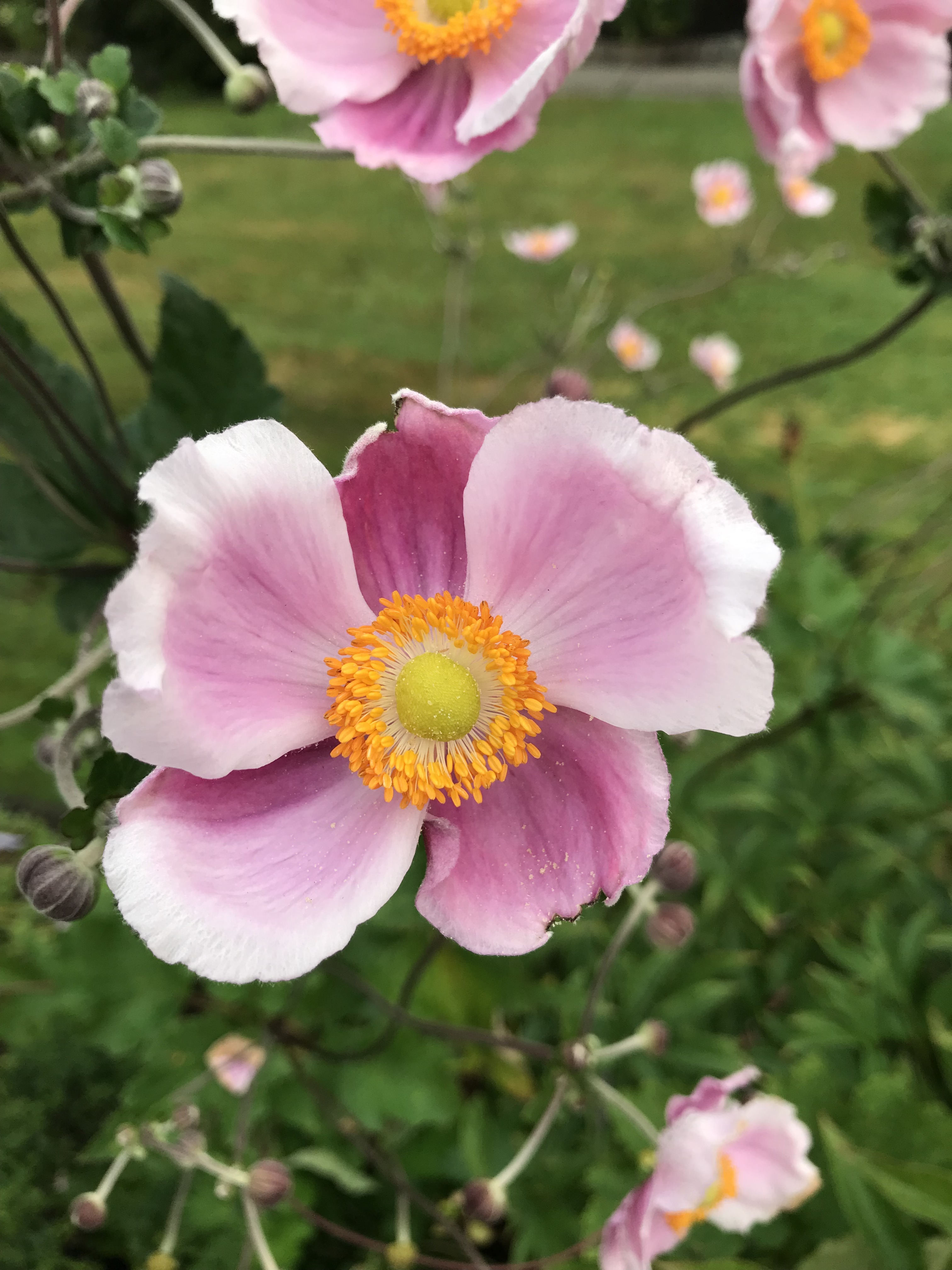 Be Positively Selfish – Fuel Becomes You